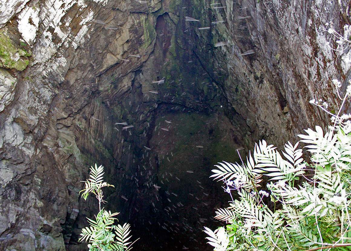 Cincinnati Museum Center - Caves Around the World